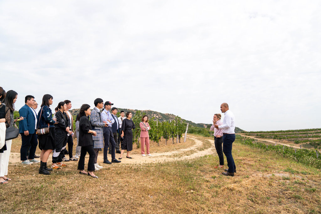 Long Dai : Launch of Château Lafite's Chinese wine - Doors Art and ...