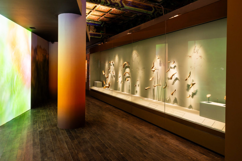 AlUla, Wonder of Arabia - Doors Art and Culture Agency